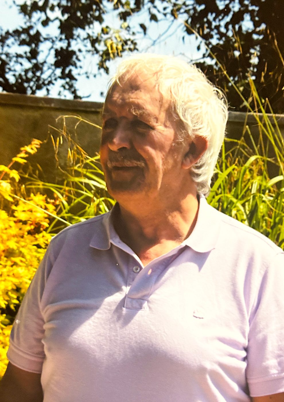 Jack Healy | Irish Life & Lore